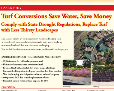 Case Studies & Brochures - Stay Green