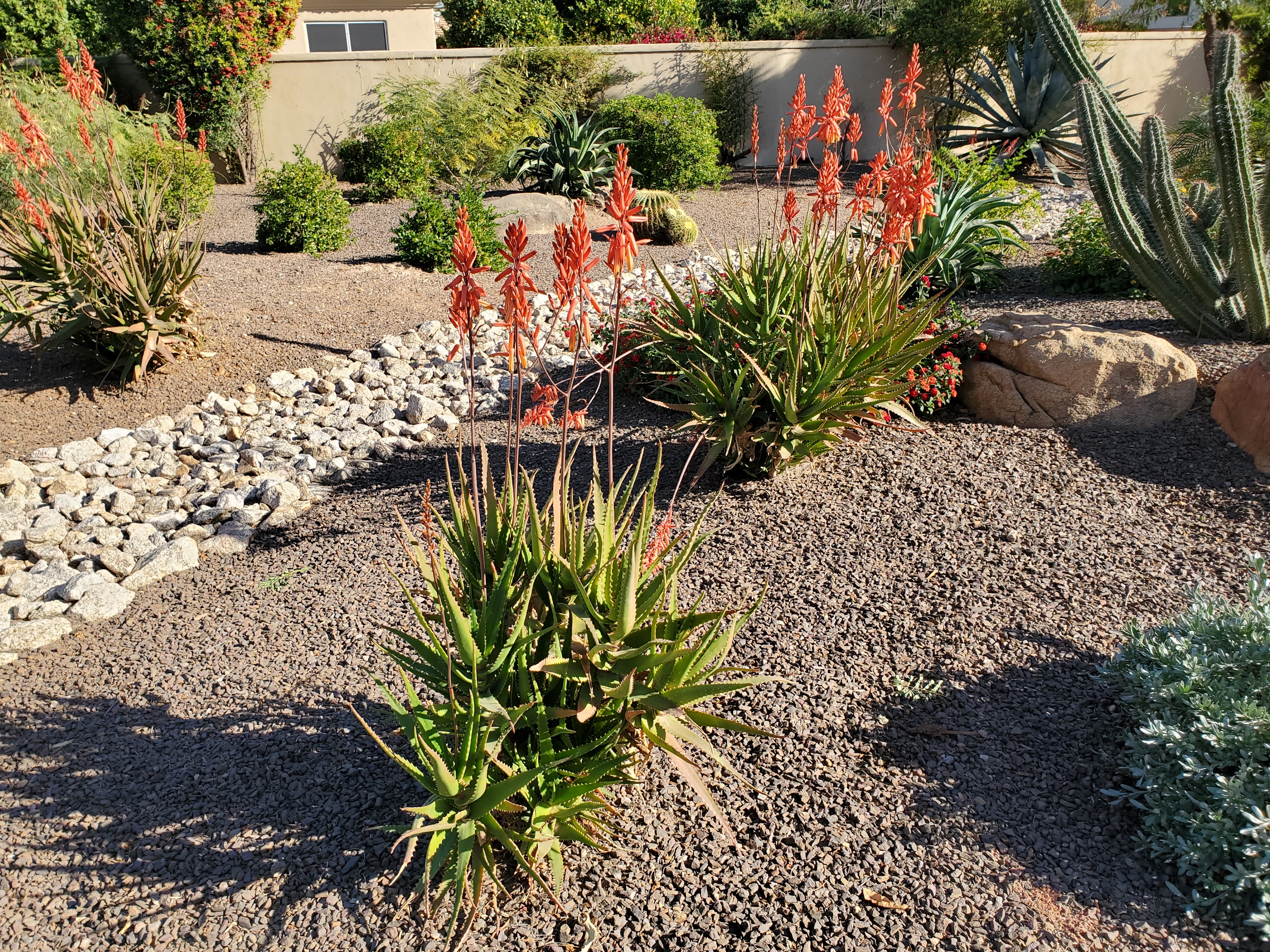 Building Landscapes That Last: The Power of Sustainable Design