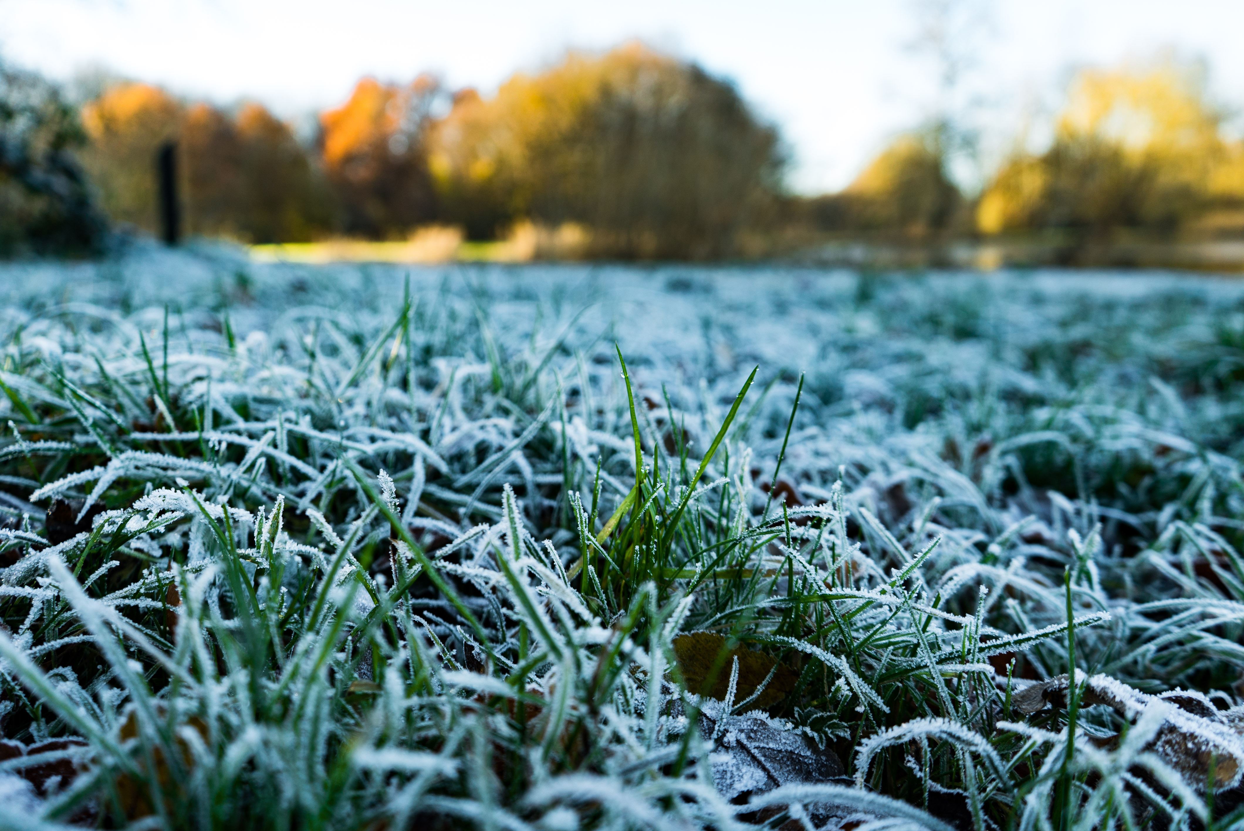 7 Tips for Preparing Your Business’s Landscaping for Winter