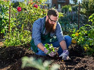 Join Our Team | Stay Green