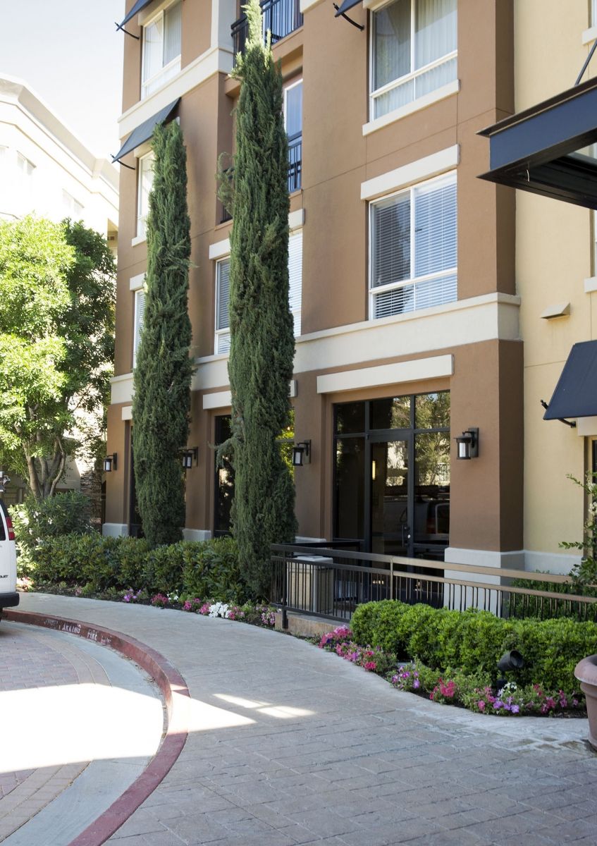 The Madison at Town Center | Southern California Commercial Landscaper