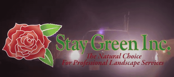 Stay Green | Stay Green Inc.